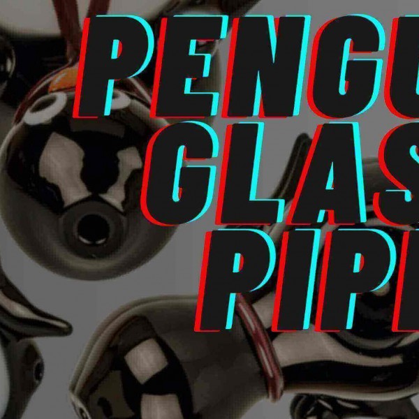 Penguin Glass Pipe Review